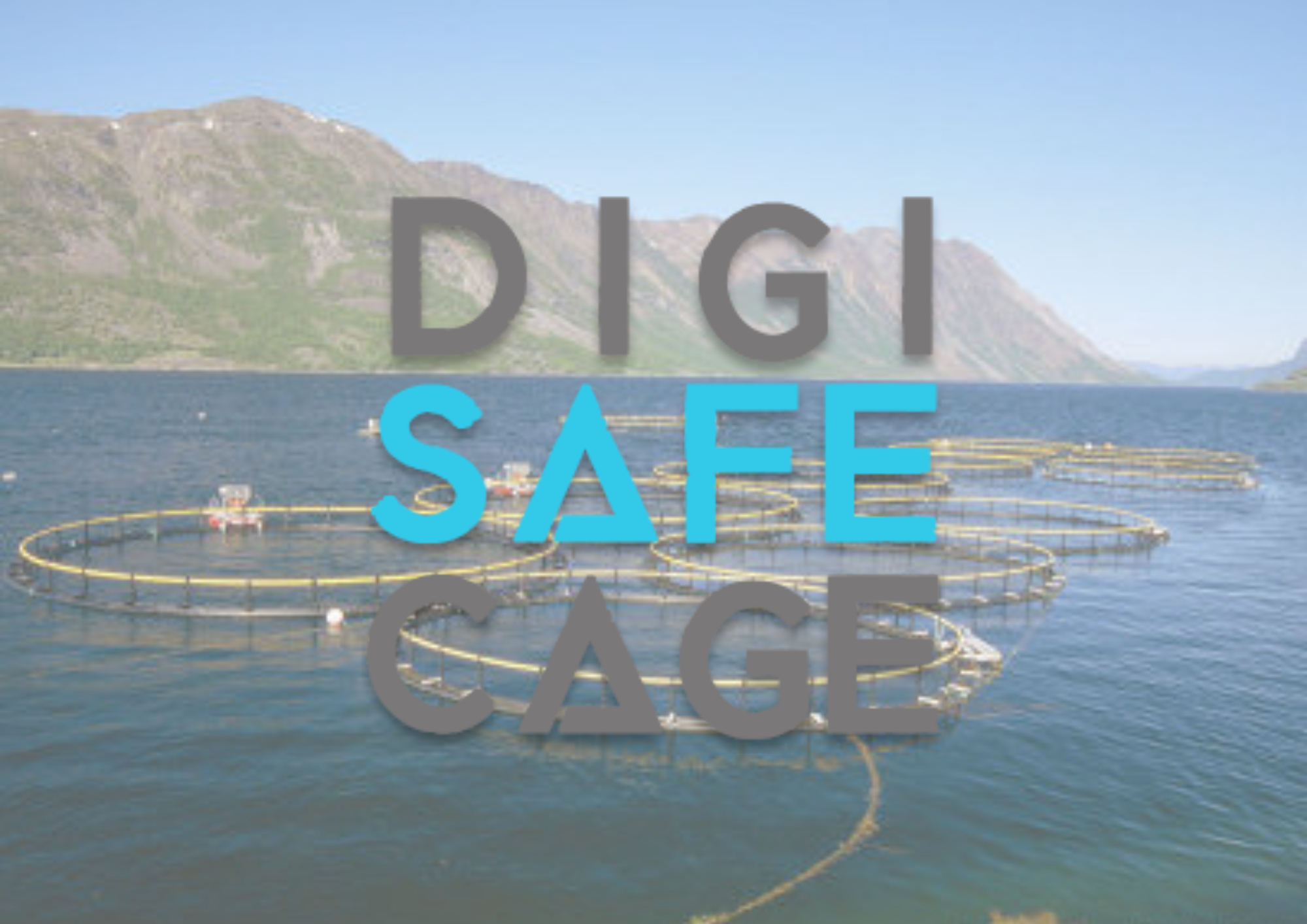 DIGI SAFE CAGE - CTNAVAL